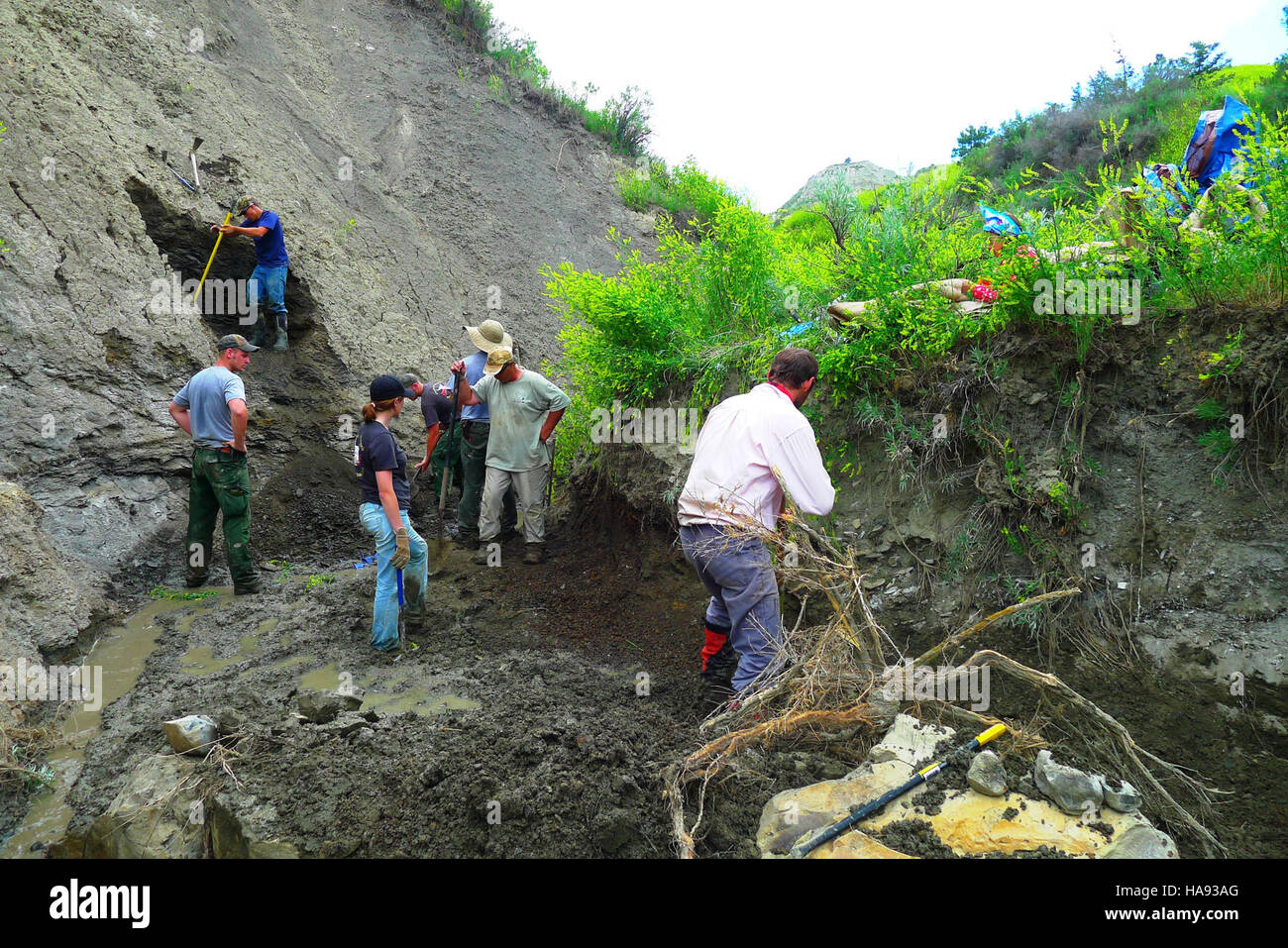 'Dirty Work' refers to the critical fieldwork undertaken by wildlife ...