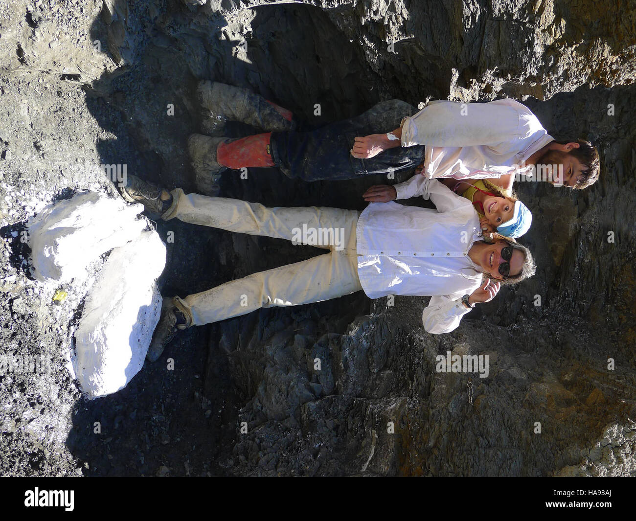 This image showcases a significant discovery related to nature, science ...