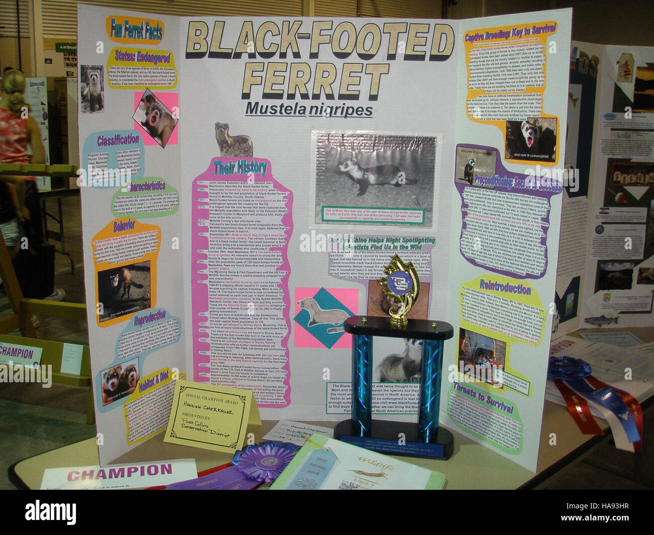 Hannah's Project focuses on preserving the habitat of endangered ...