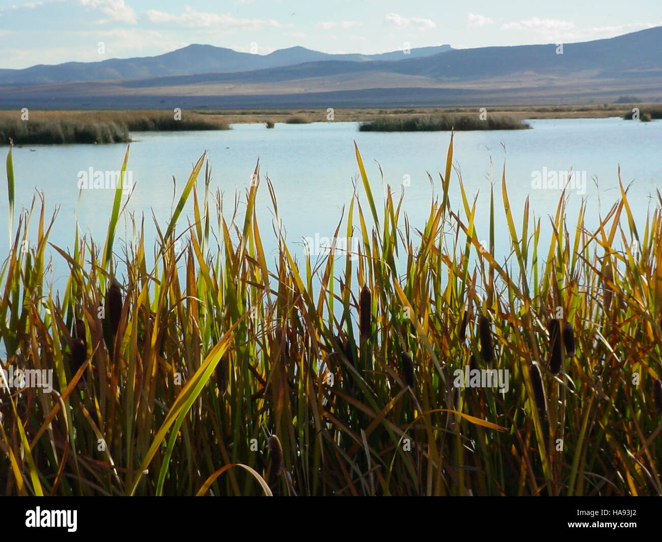 The Monte Vista National Wildlife Refuge in Colorado features diverse ...