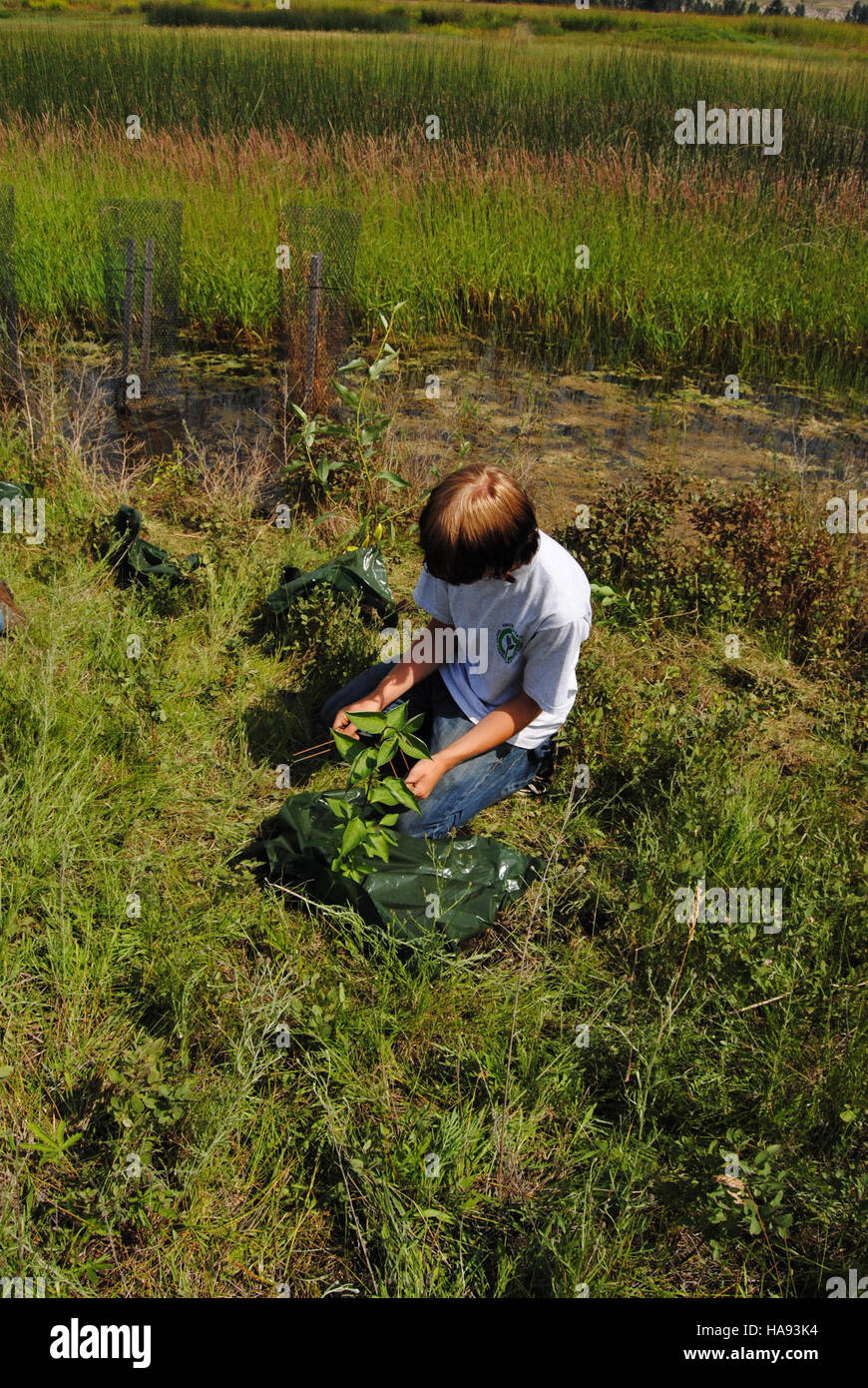 Wetland planting efforts in Dixon, Montana, during Week 5 focus on ...