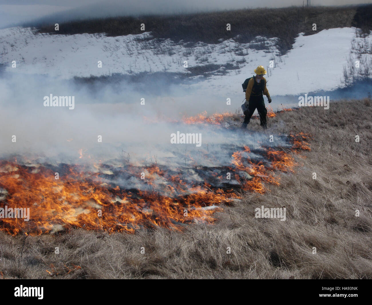 Usfws Fire High Resolution Stock Photography and Images - Alamy