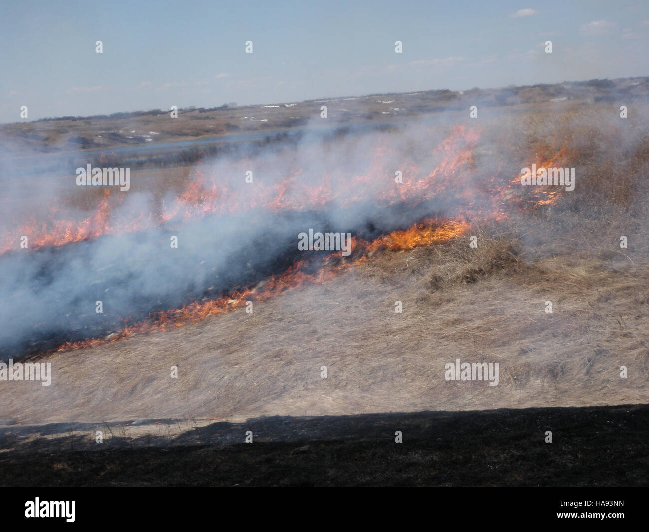 The U.S. Fish and Wildlife Service (USFWS) conducts prescribed fires in ...