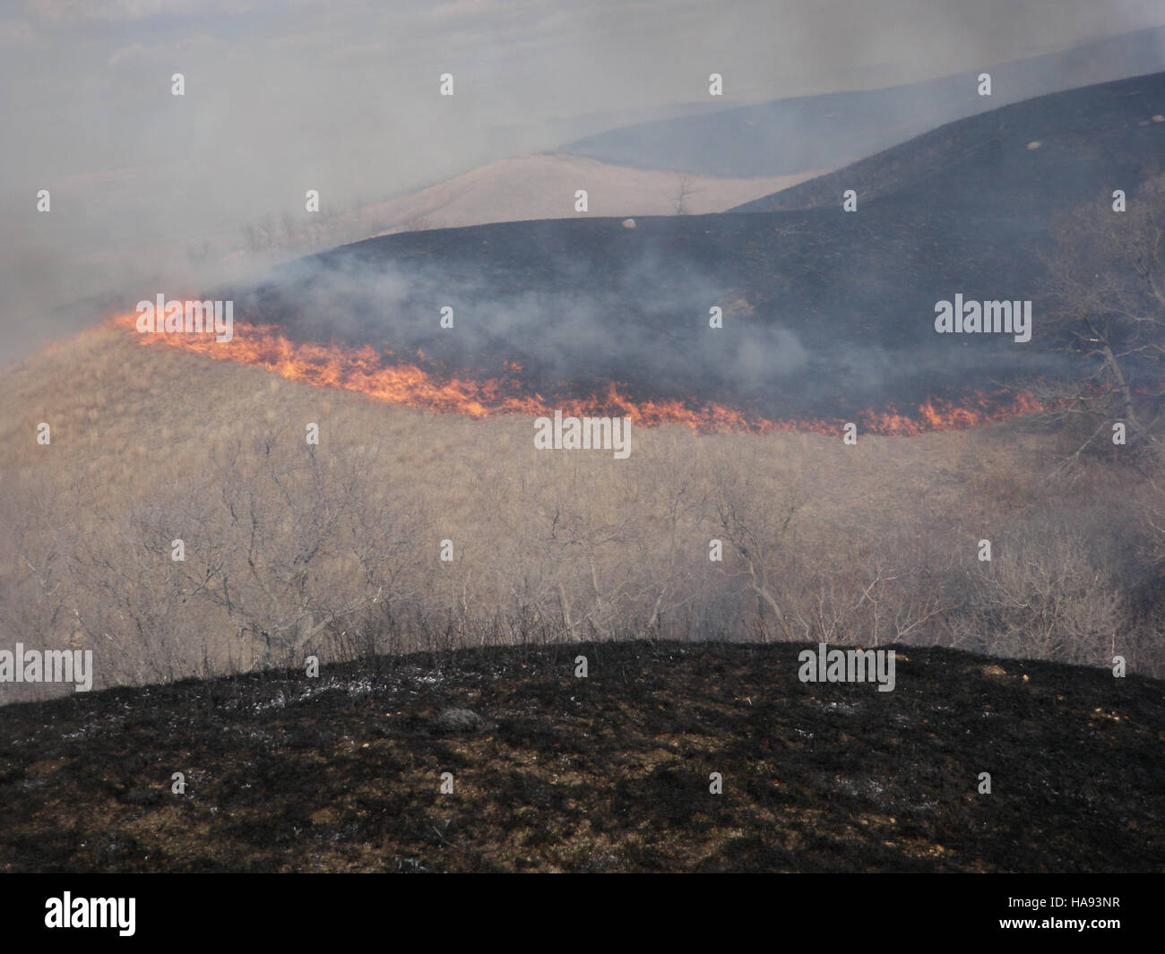 Usfws Fire High Resolution Stock Photography and Images - Alamy