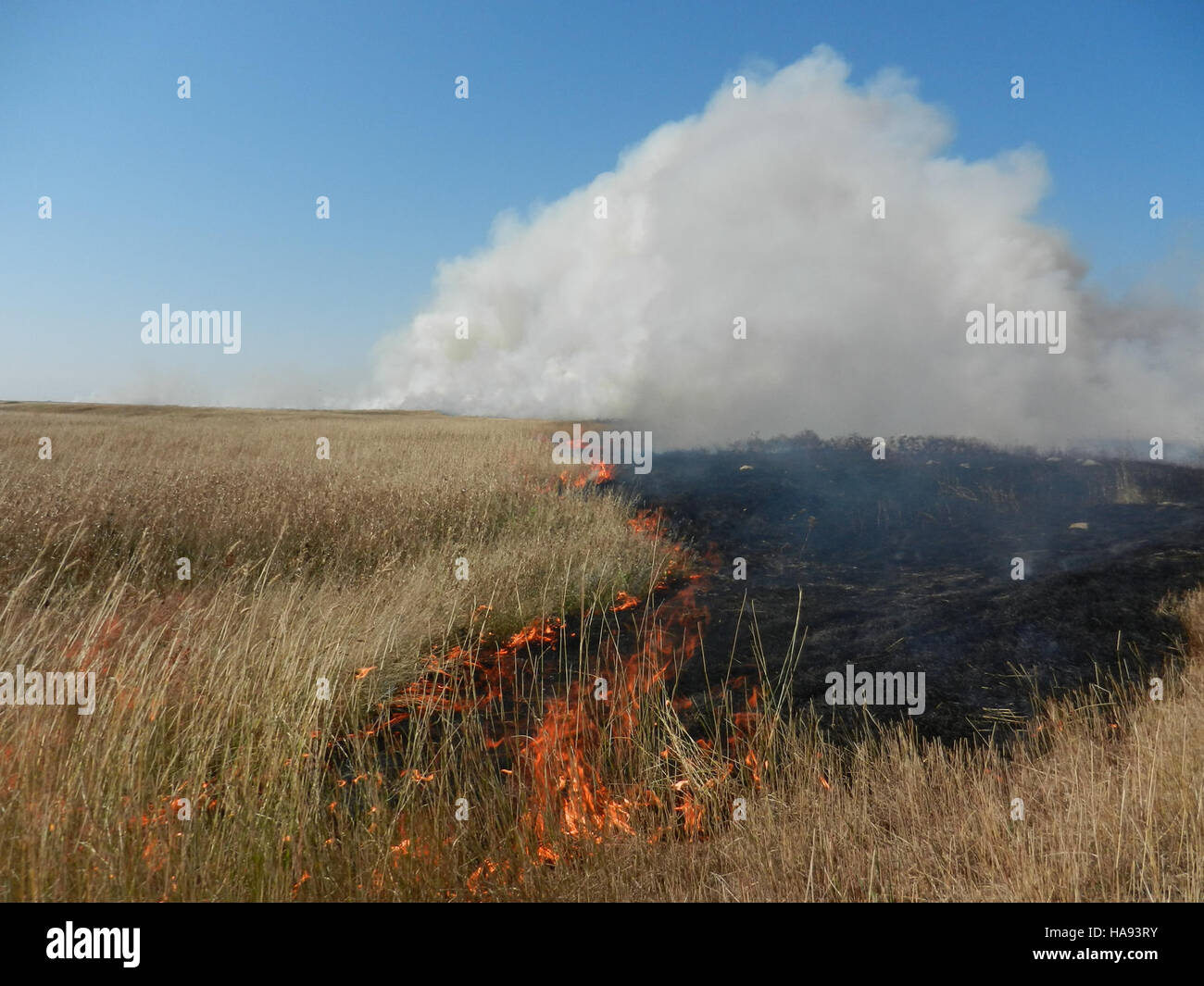 Fall prescribed burning on Des Lacs Refuge National Park is an ...