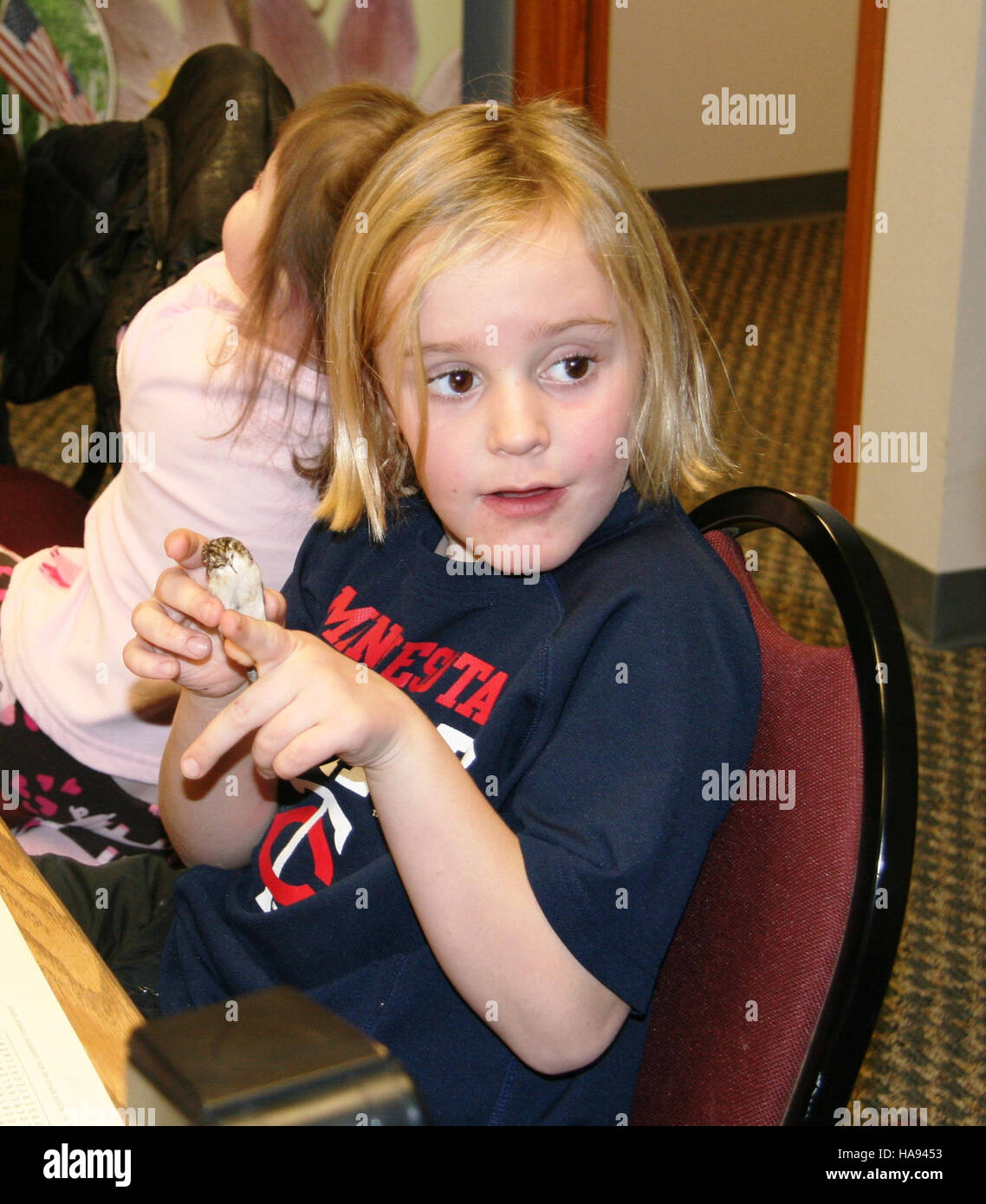 usfwsmtnprairie 6554277259 How Does the Brown Creeper Eat Food¿ Stock ...