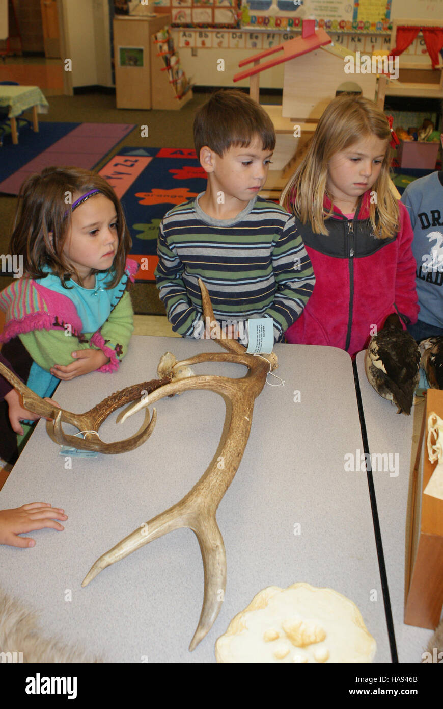 This image illustrates the Scientists in the Community program, where ...