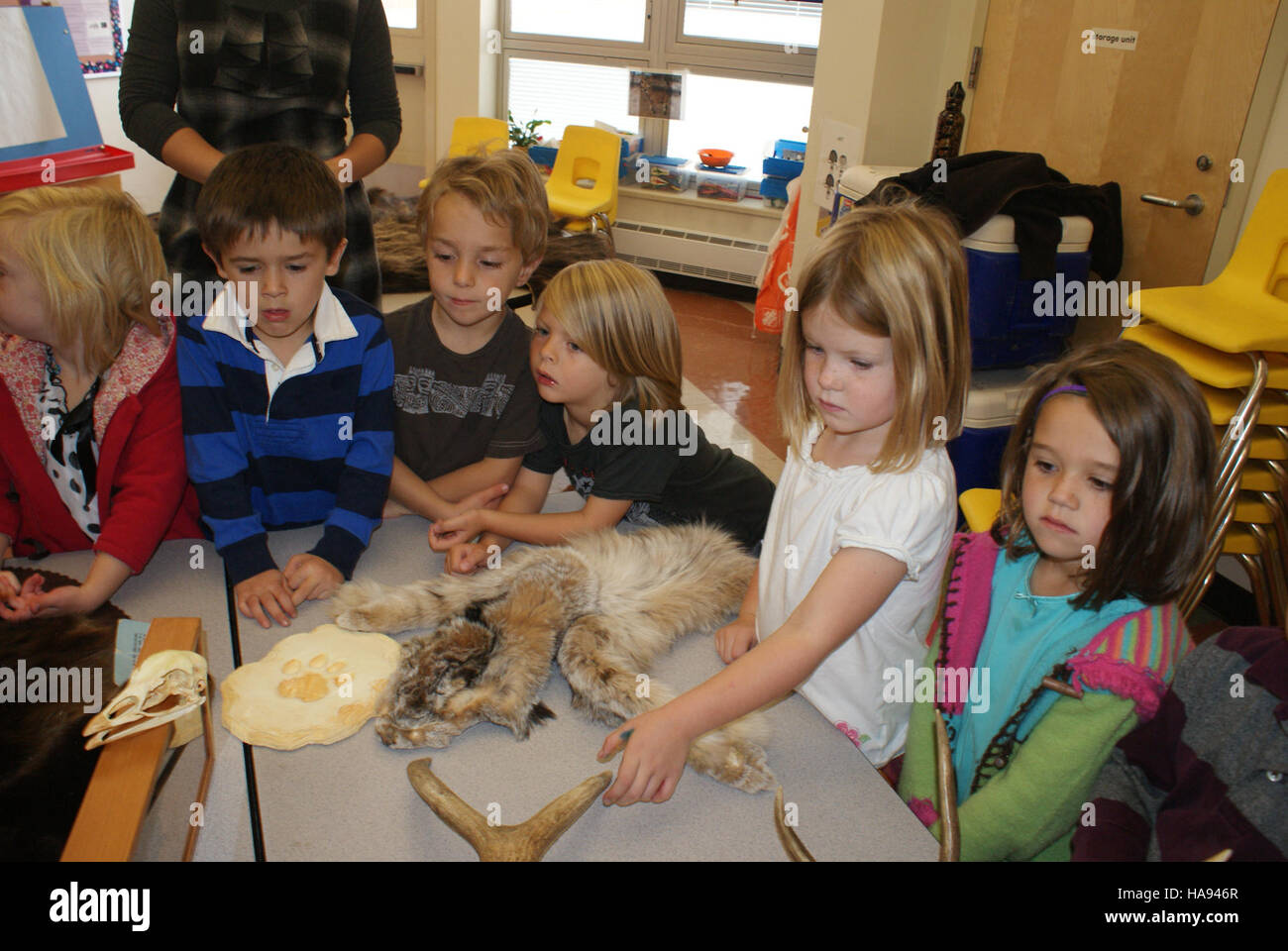 The Scientists in the Community Program engages with local communities ...