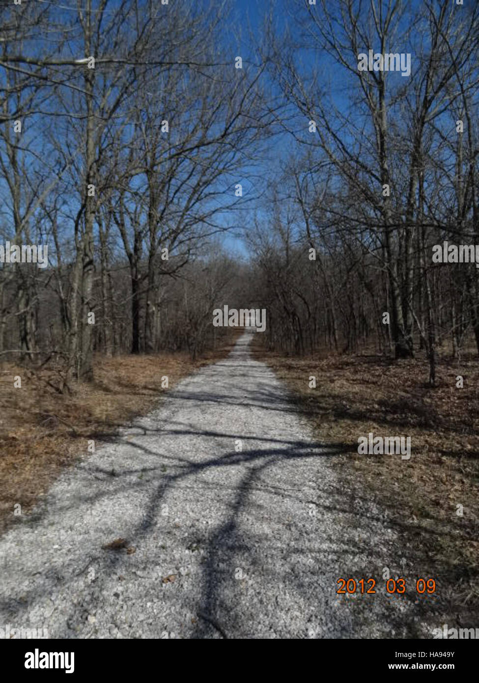 The Root Cemetery Trail is located in a national park, offering ...