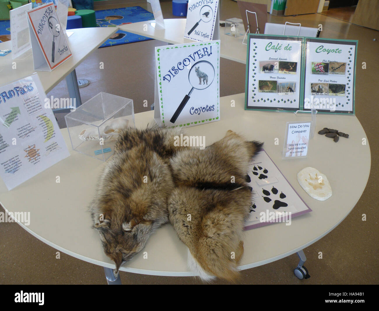 Discovery room hi-res stock photography and images - Alamy