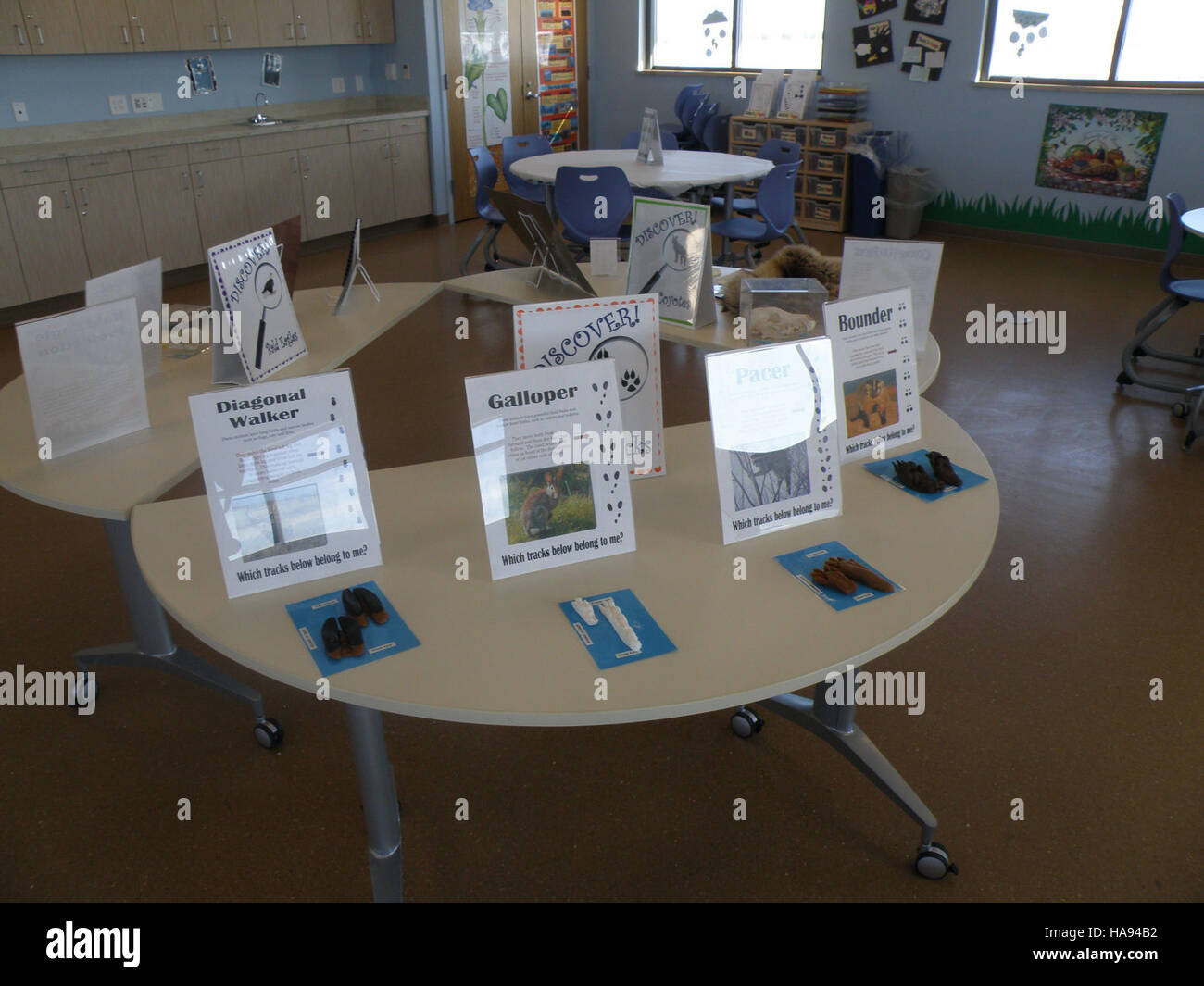 The Discovery Room at a national park provides an educational space for ...