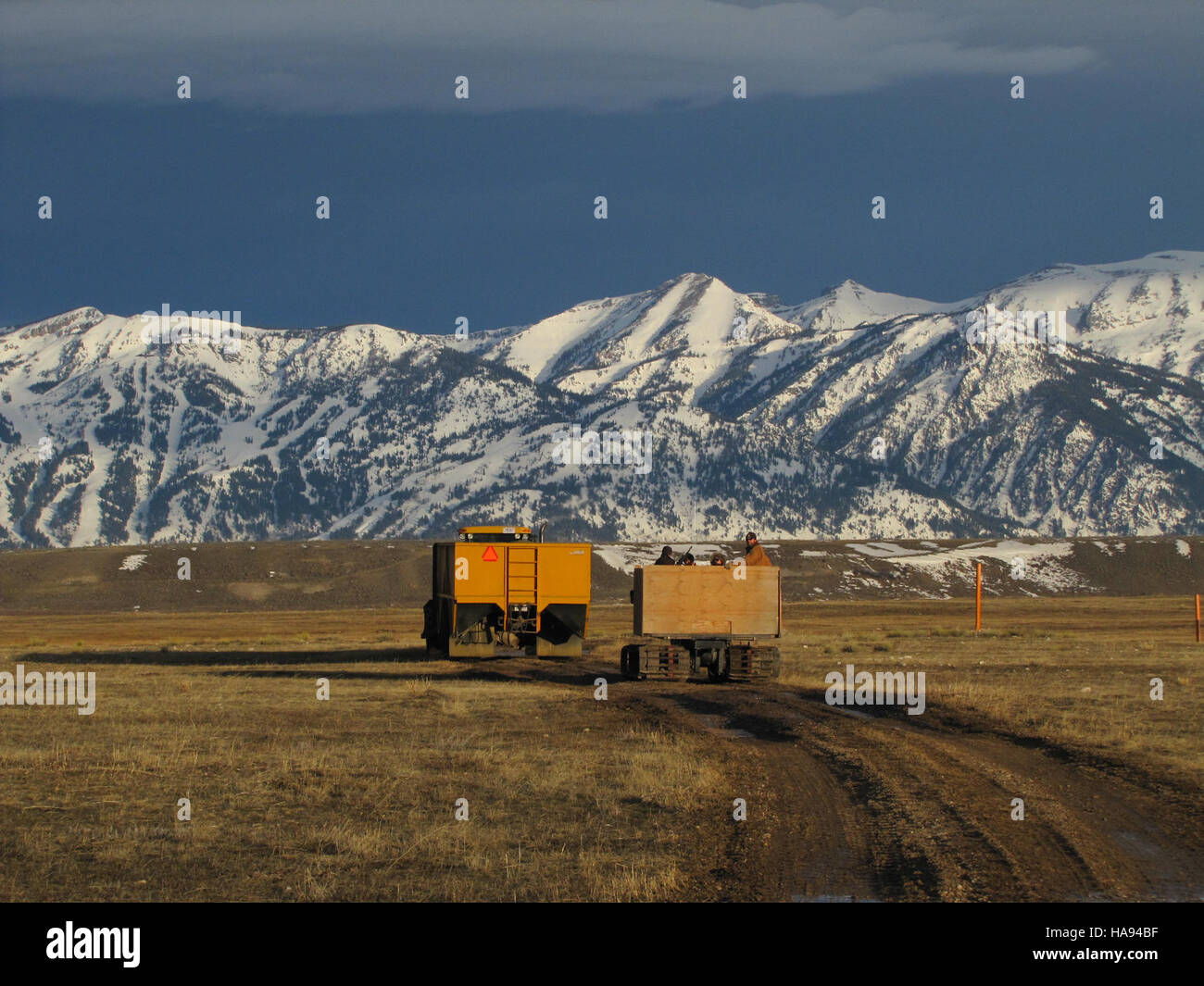 This image shows essential equipment needed for conservation efforts in ...