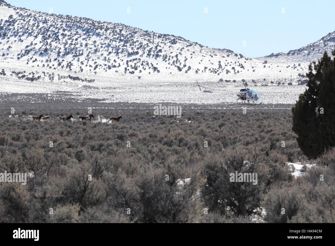 The Diamond Complex, part of the Bureau of Land Management's efforts in ...