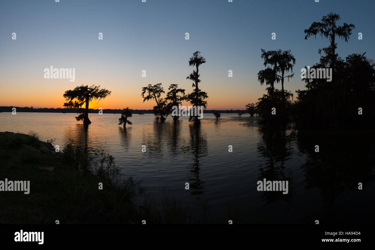 Louisiana Swamp Sunrise