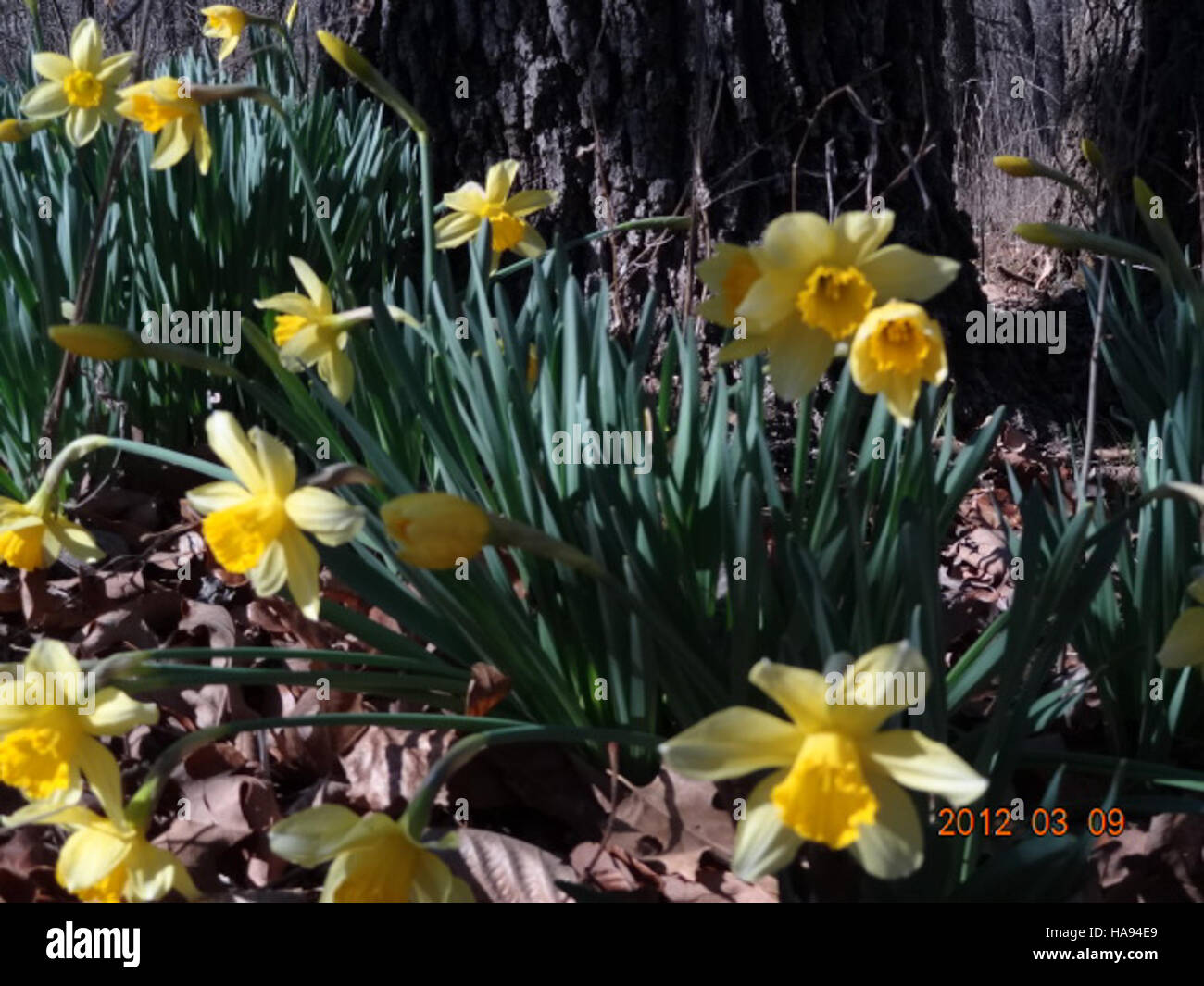 Homestead remnants in national parks represent a glimpse into America's ...