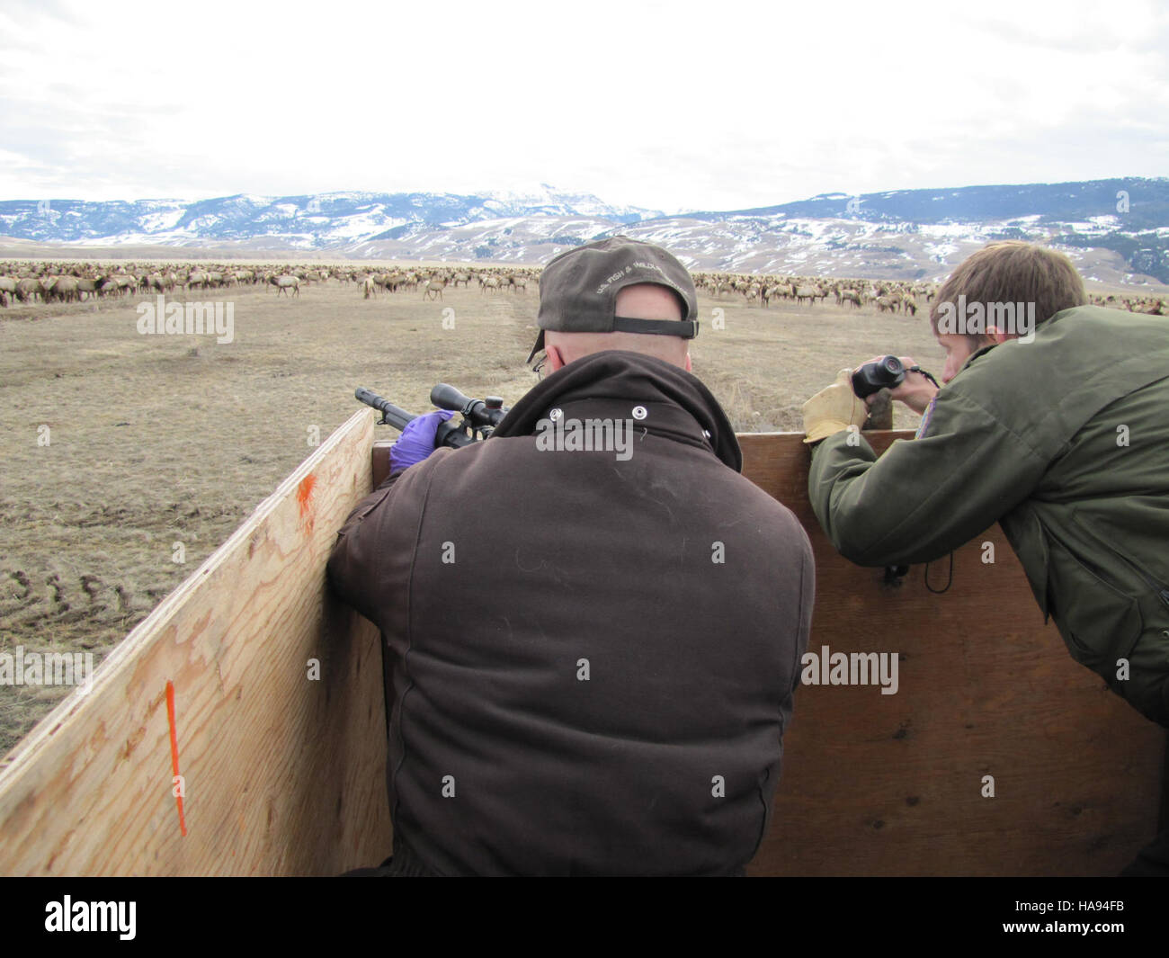 Wildlife experts in a Mountain Prairie national park are determining ...