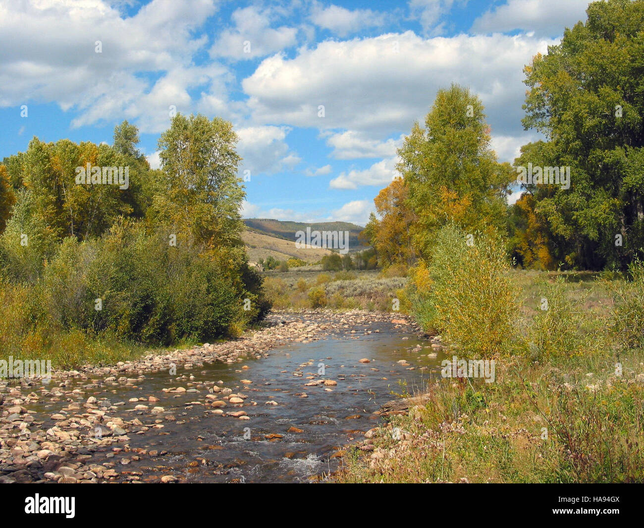 Riverine habitat restoration efforts aim to rehabilitate waterway ...