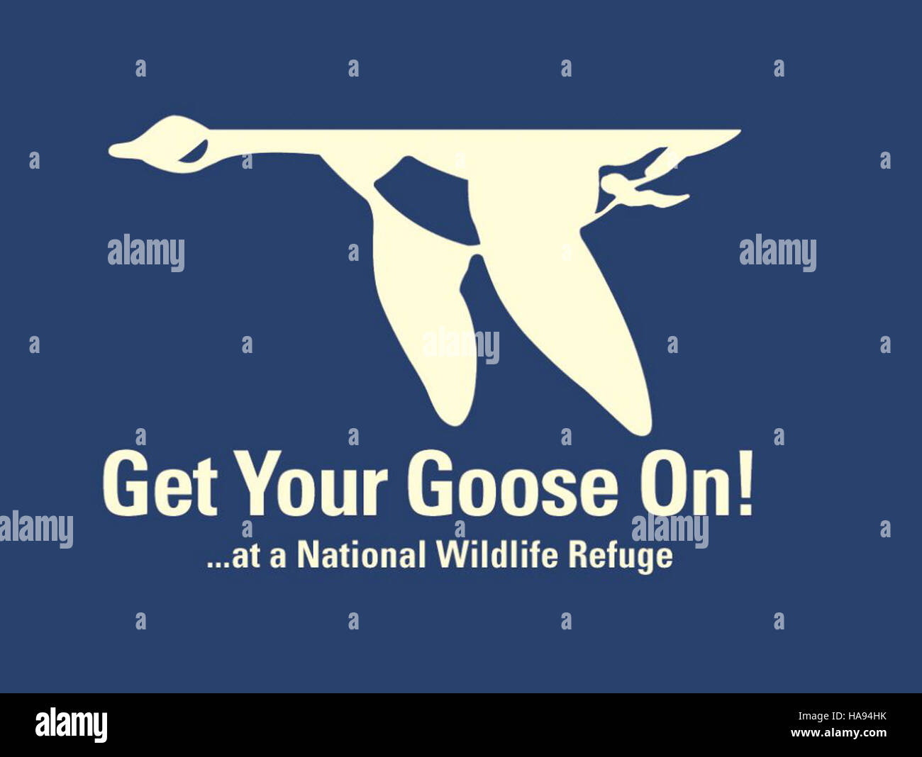 An educational initiative titled 'Get Your Goose On' focuses on ...