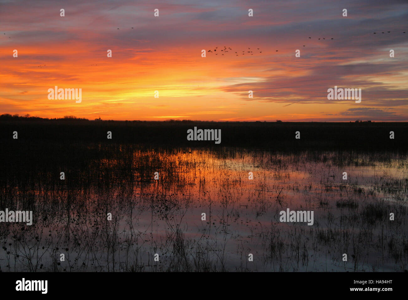 usfwsmtnprairie 7166640605 Sunset at Funk WPA, NE Stock Photo - Alamy