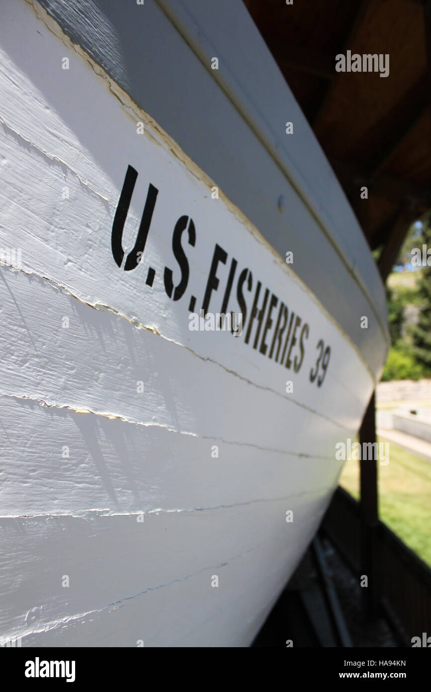 The image captures the gunwhale and bow of a boat used for wildlife ...
