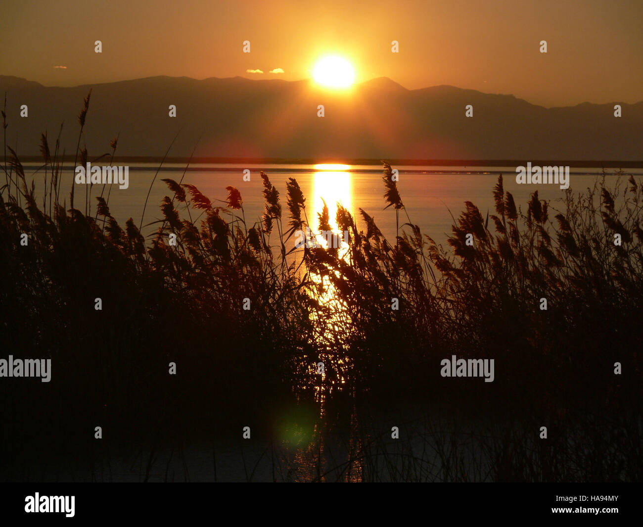 usfwsmtnprairie 7216701430 1st place in Scenic by Sandy Mitchell Stock ...