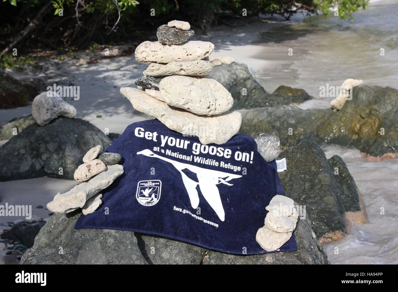 Shell and coral stacking is a unique geological phenomenon found in ...