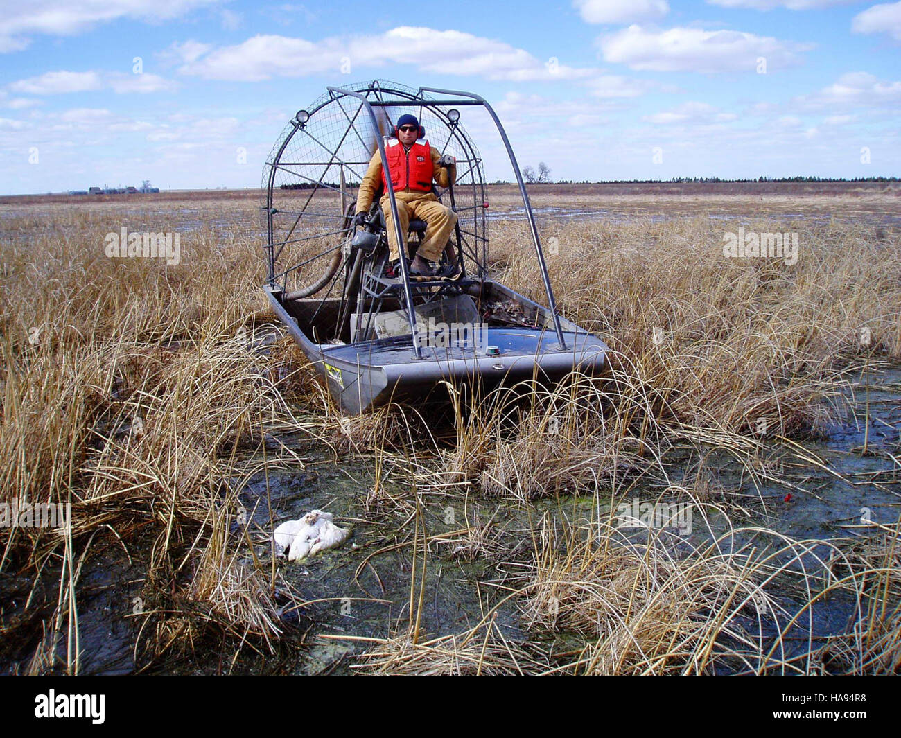 This image shows the use of an airboat for avian cholera outbreak ...