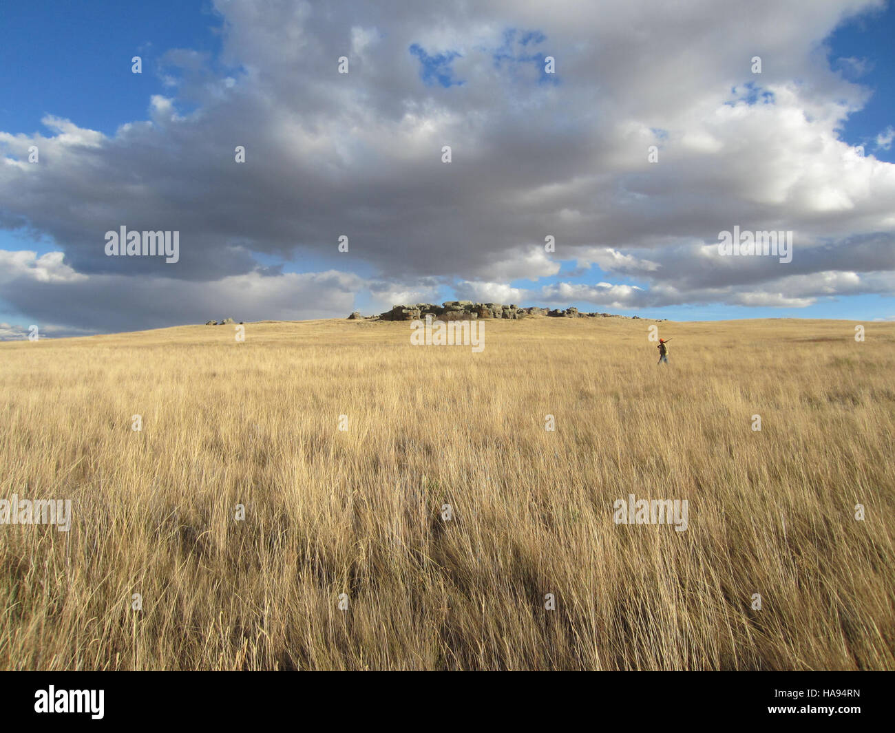 usfwsmtnprairie 7368954226 Hunting Upland Birds at Kingsbury Lake ...