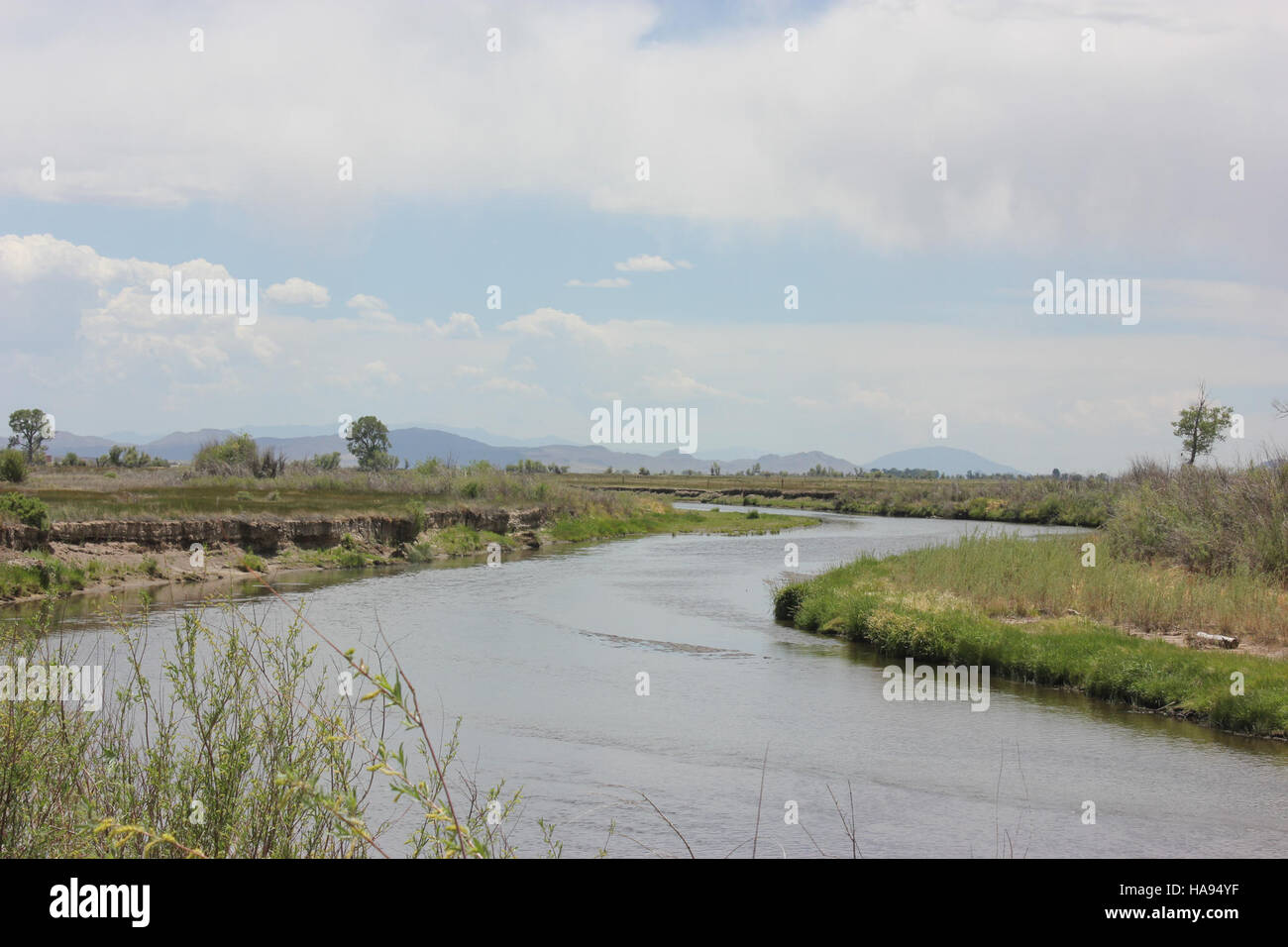The Rio Grande River flows through the Alamosa National Wildlife Refuge ...