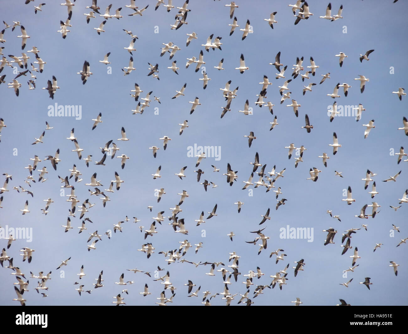 A National Park in the Mountain Prairie region is home to vast skies ...