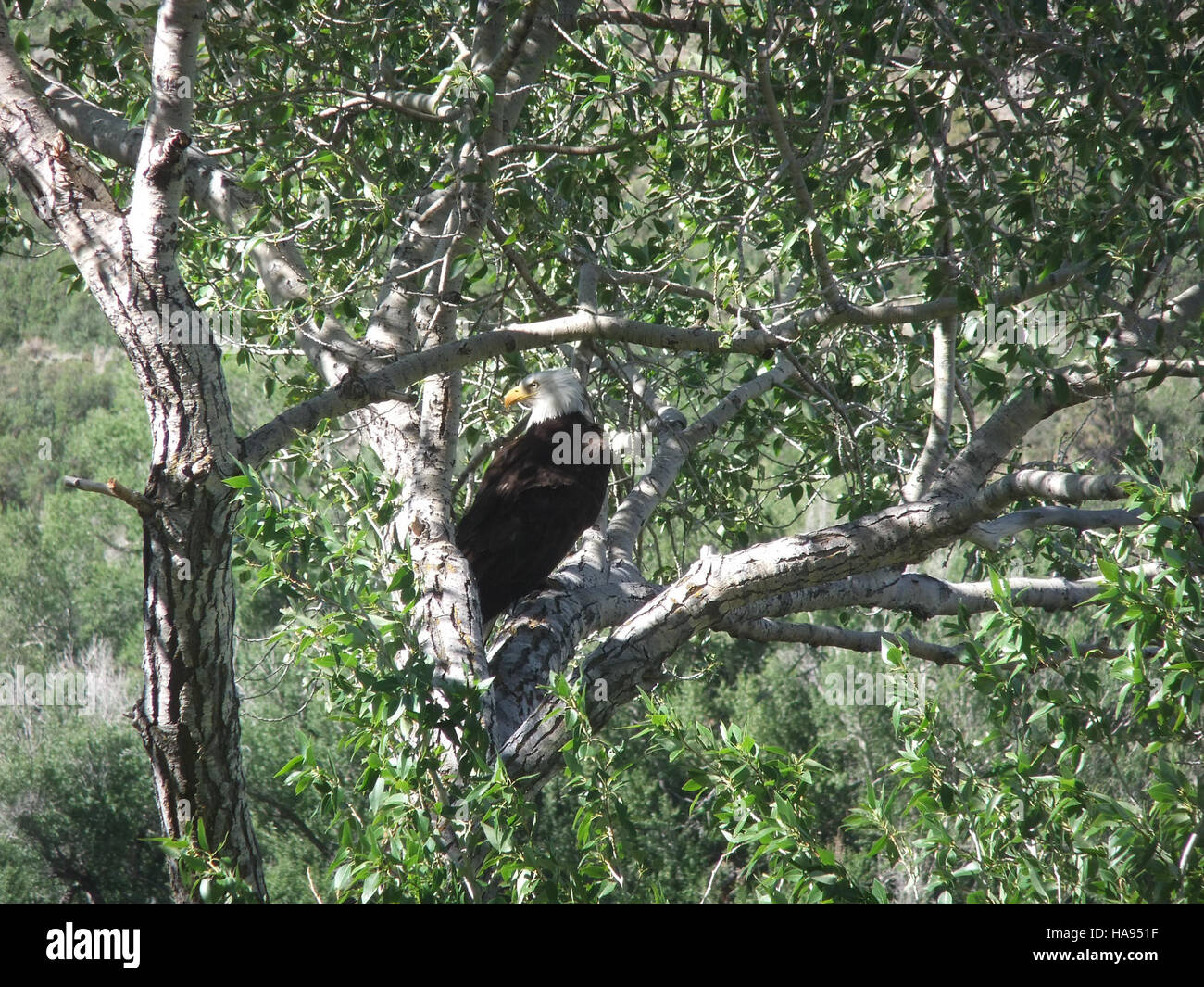 An aerial view of a national park in the Mountain Prairie region ...