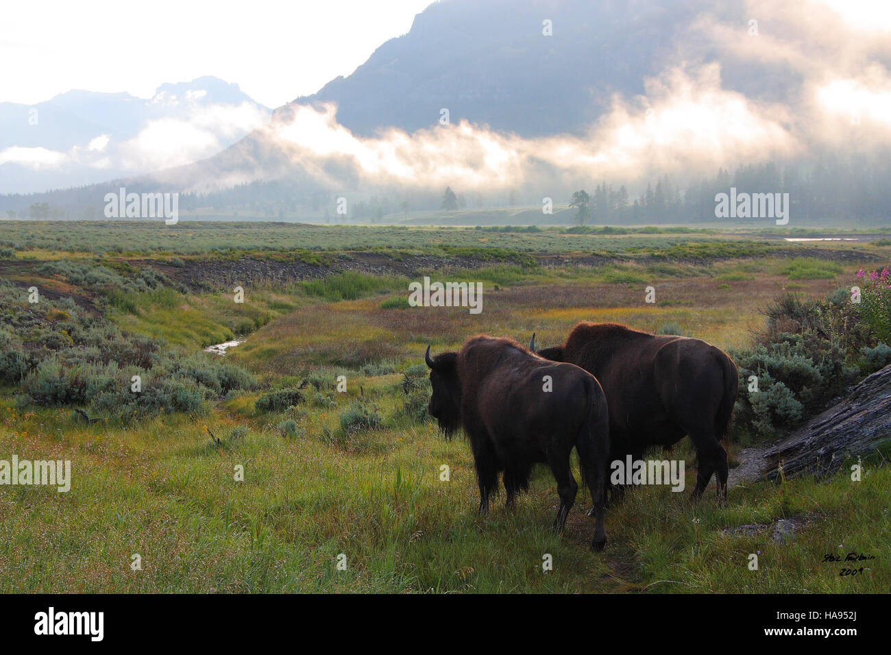 A wildlife photography competition entry showing the diverse species ...