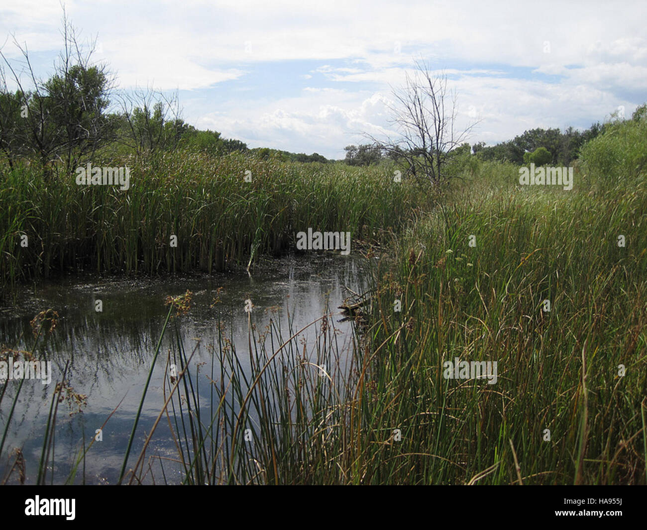 Platte River Slough, managed by the U.S. Fish and Wildlife Service, is ...