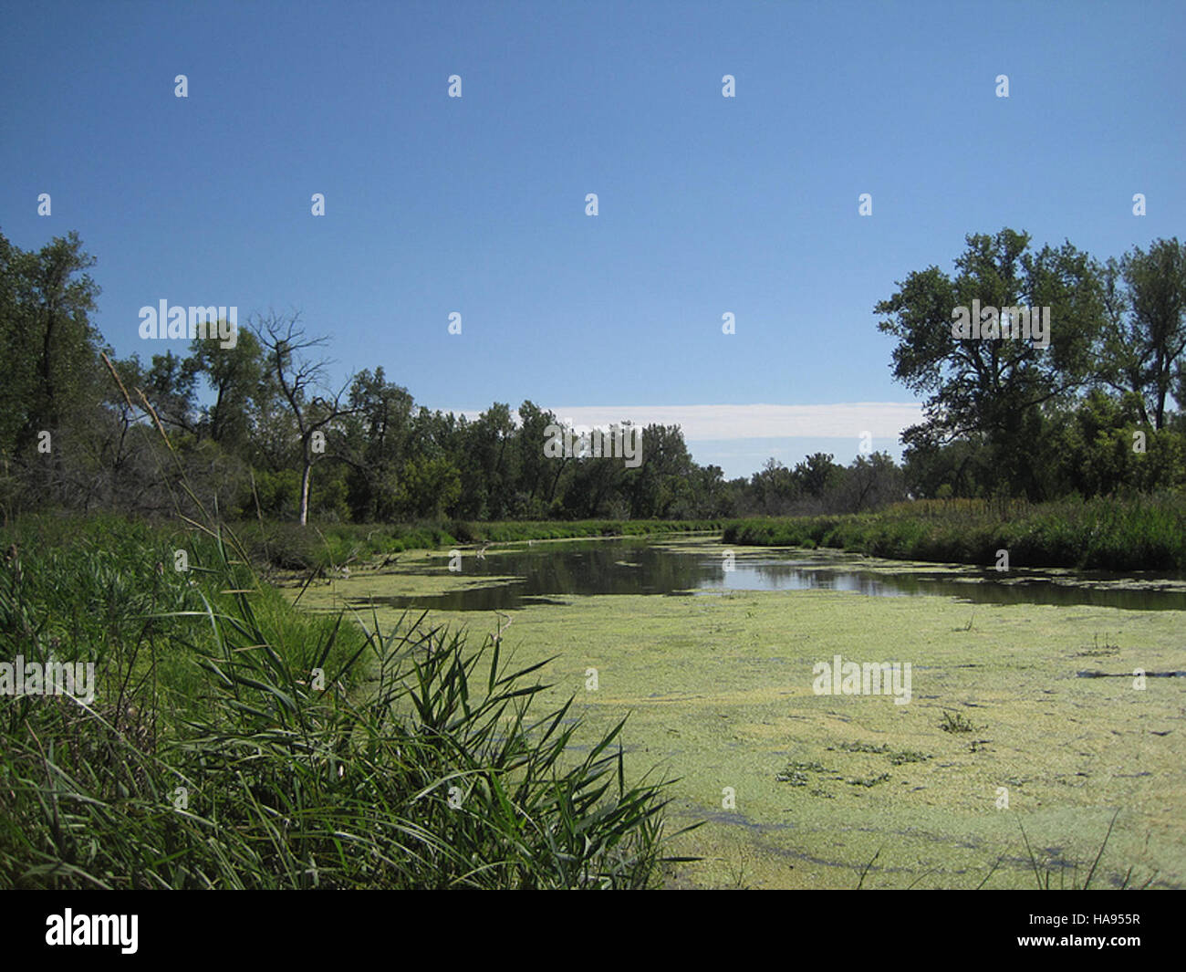 The Loup River Slough in Nebraska is a critical wetland area that ...