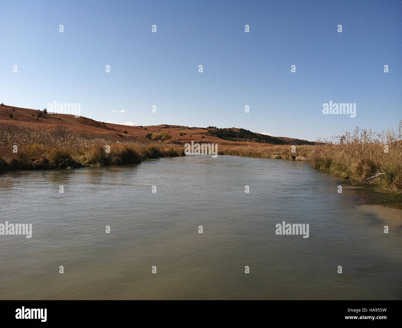 The dismal science hi-res stock photography and images - Alamy