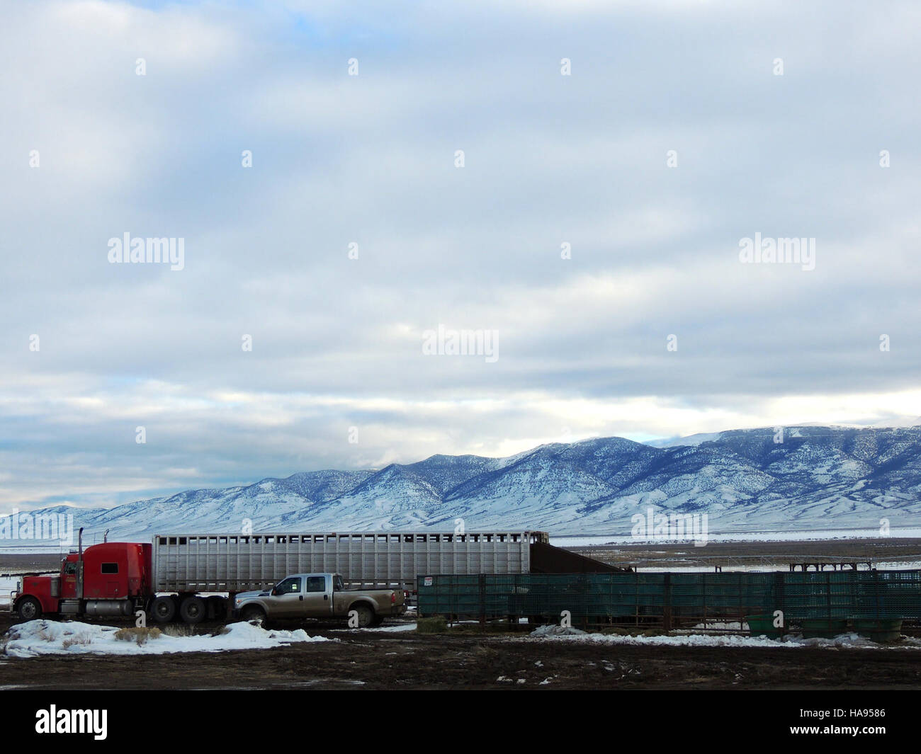 The Bureau of Land Management (BLM) conducts the Diamond Gather ...