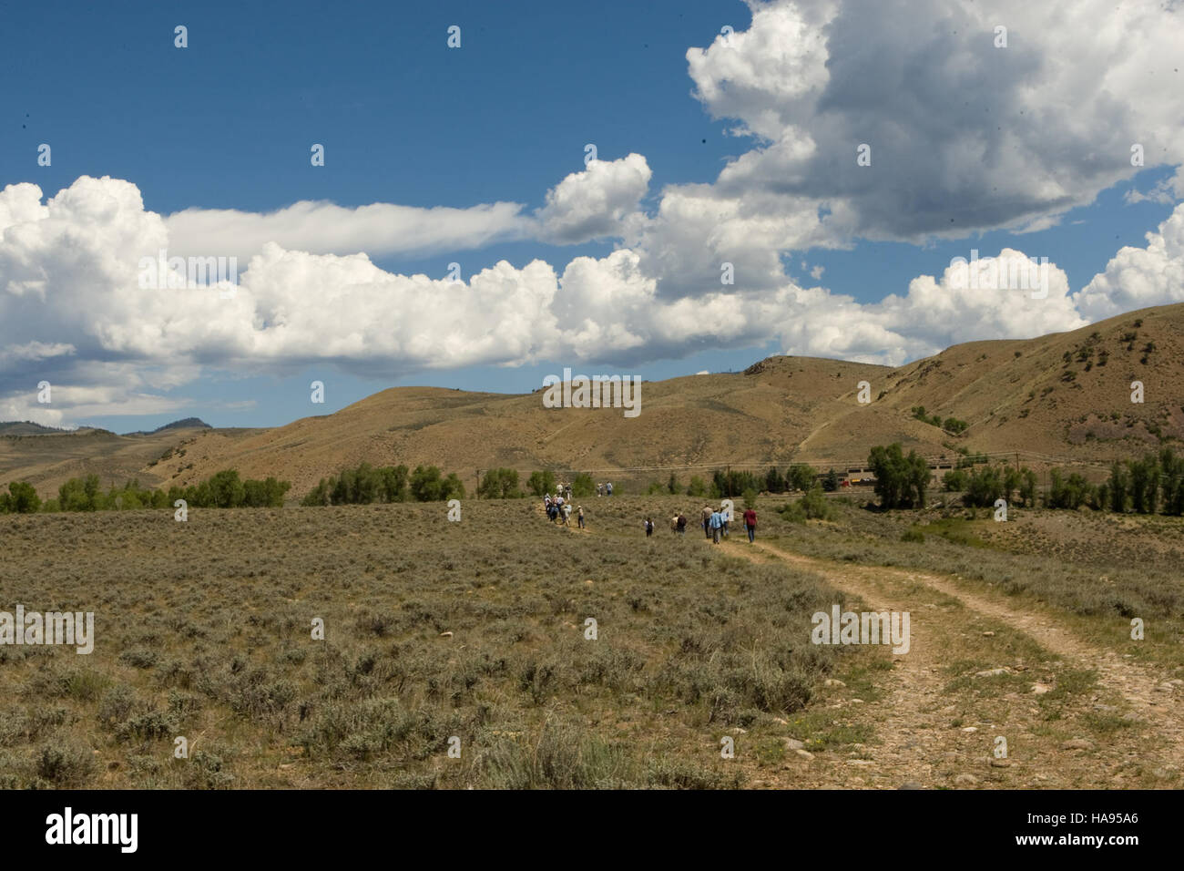 The Colorado Rare Plant Conservation Initiative focuses on protecting ...