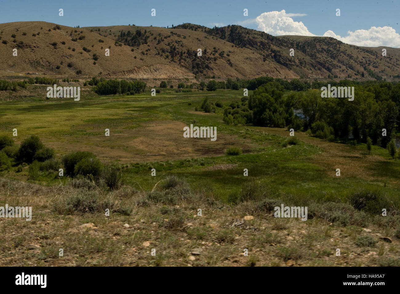 The Colorado Rare Plant Conservation Initiative works to protect and ...