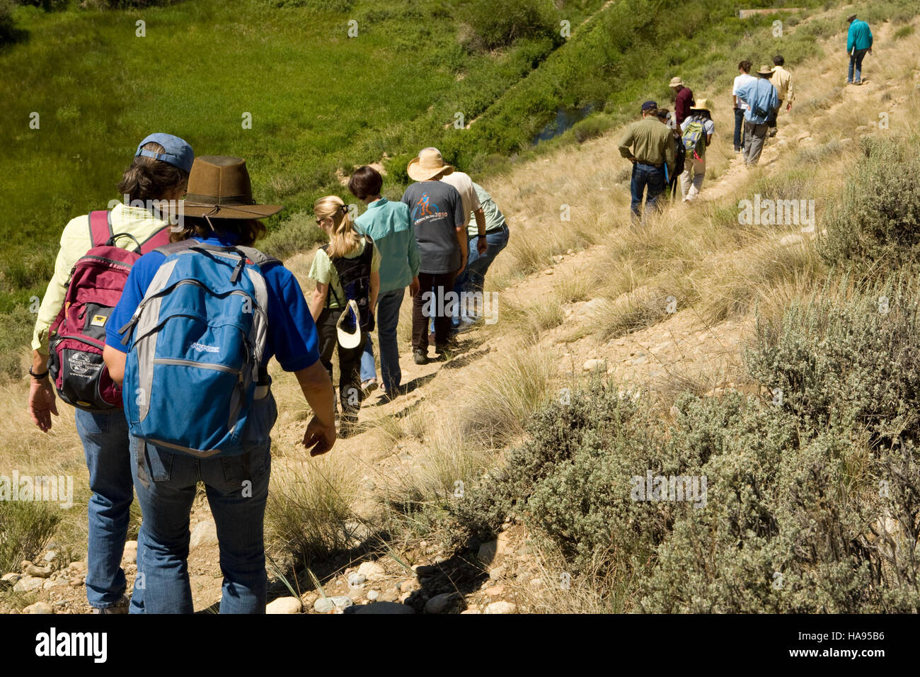 The Colorado Rare Plant Conservation Initiative focuses on preserving ...