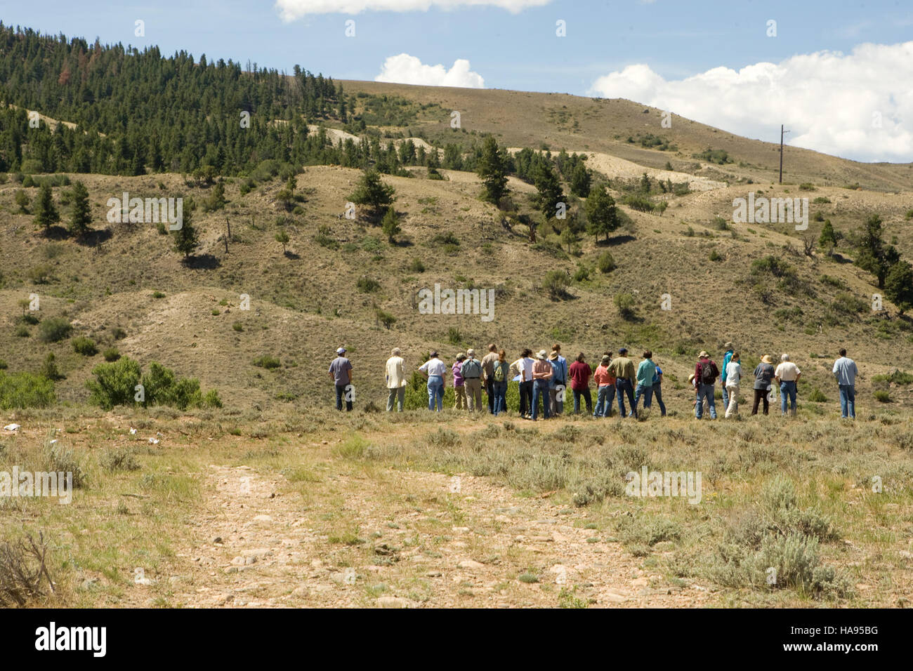 The Colorado Rare Plant Conservation Initiative focuses on preserving ...