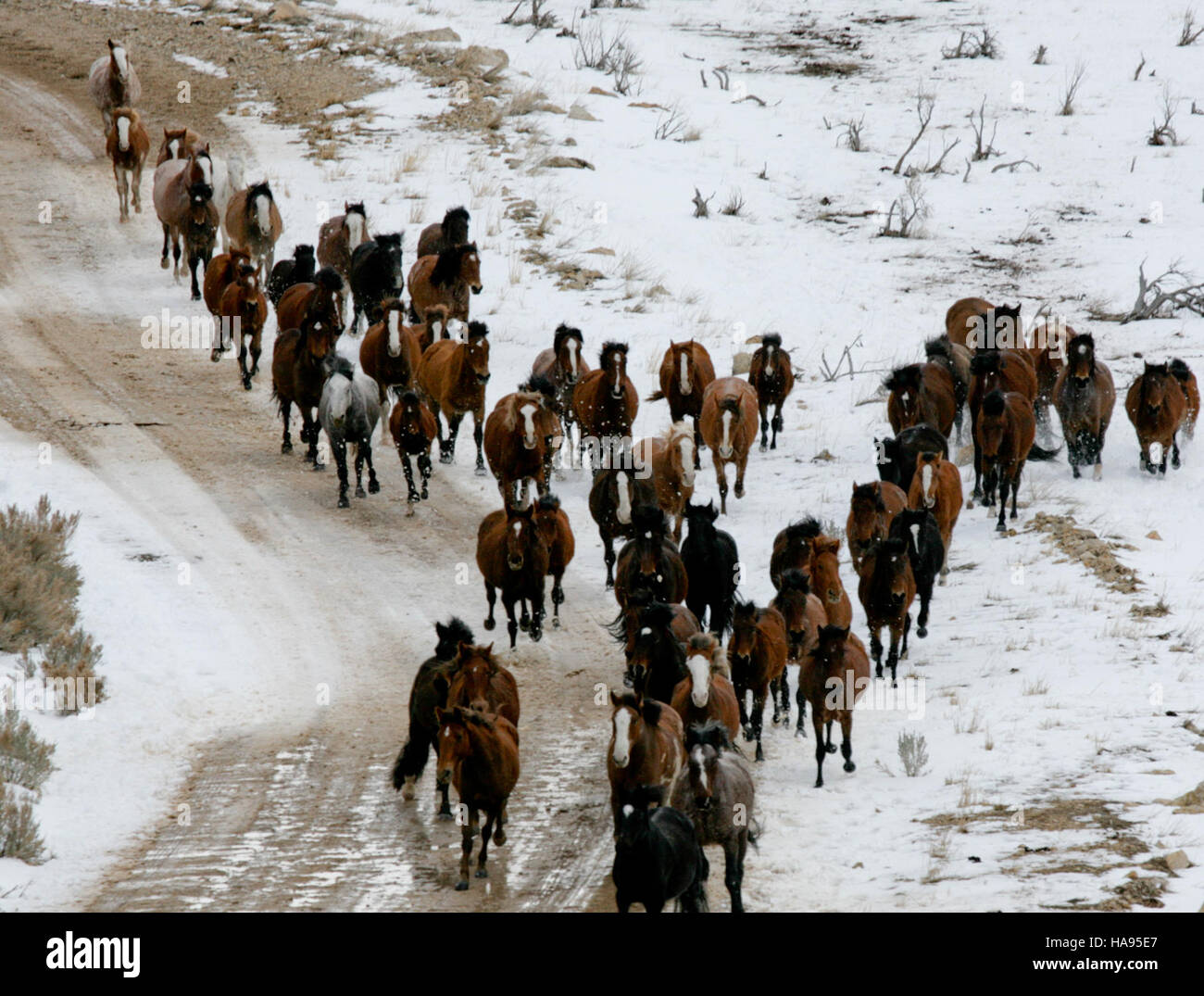 The Bureau of Land Management (BLM) oversees significant lands ...