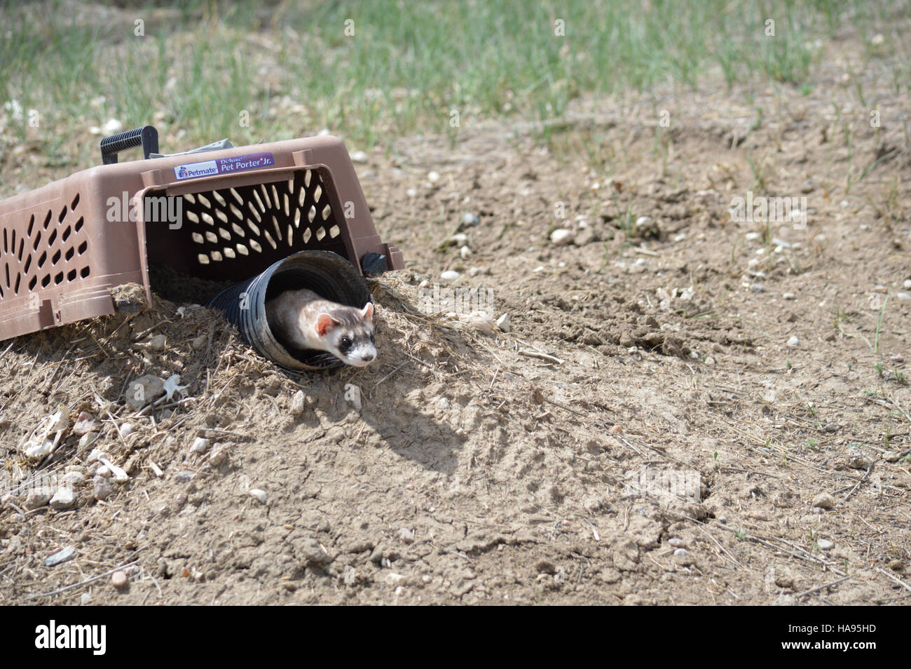 Interns from the U.S. Fish and Wildlife Service visited the National ...