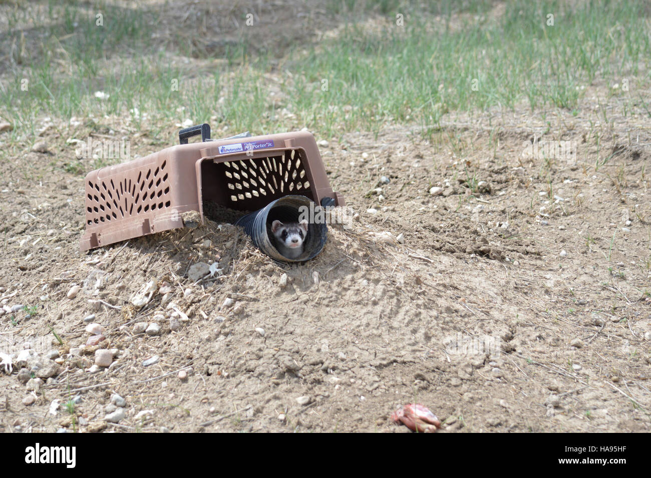 Interns visit the National Bison Range and Forest Conservation Center ...