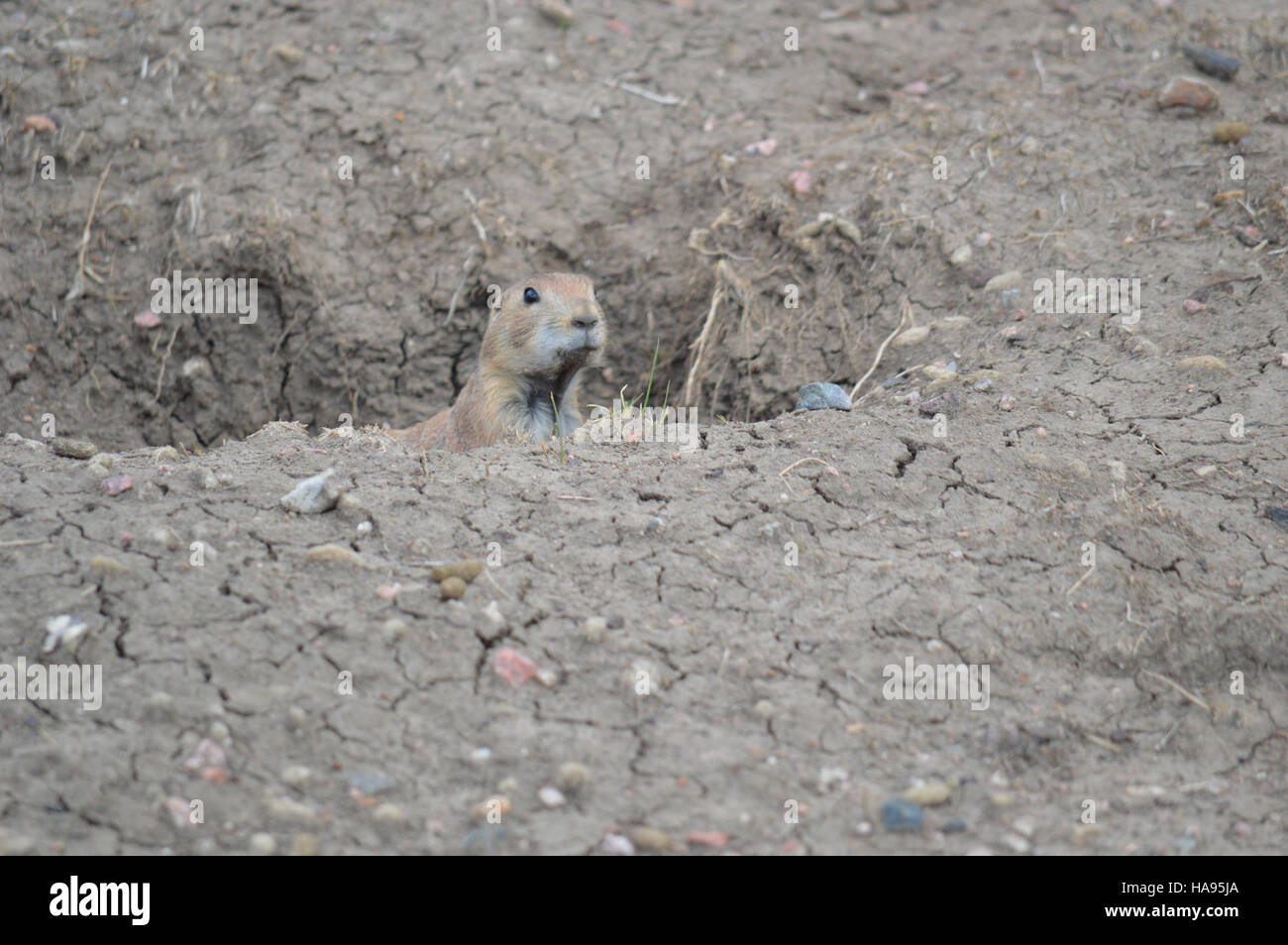 Interns visit the National Bison Range, part of the U.S. Fish and ...