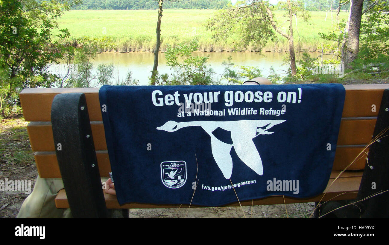 This image promotes outdoor activities like birdwatching and wildlife ...