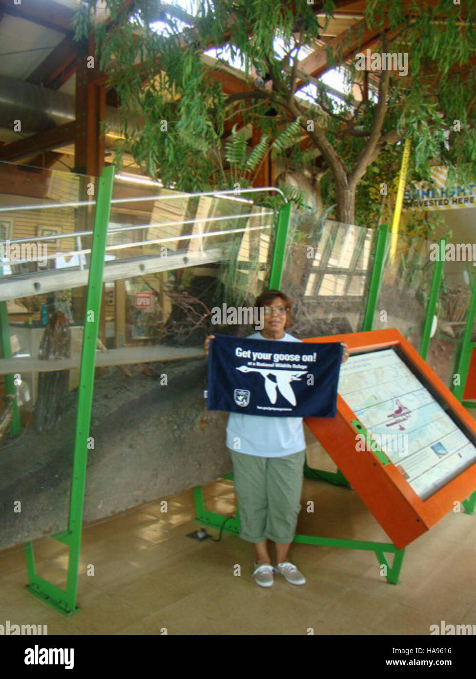 The GYGO (Great Yellowstone Grizzly Observation) project focuses on ...