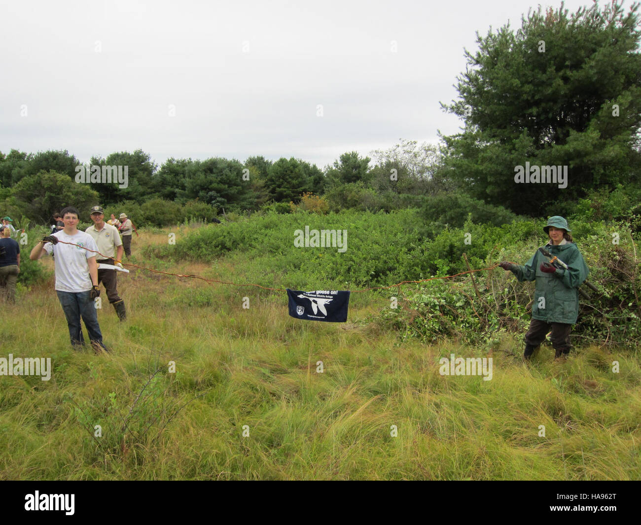 The 'Get Your Goose On' event at a National Park highlights wildlife ...