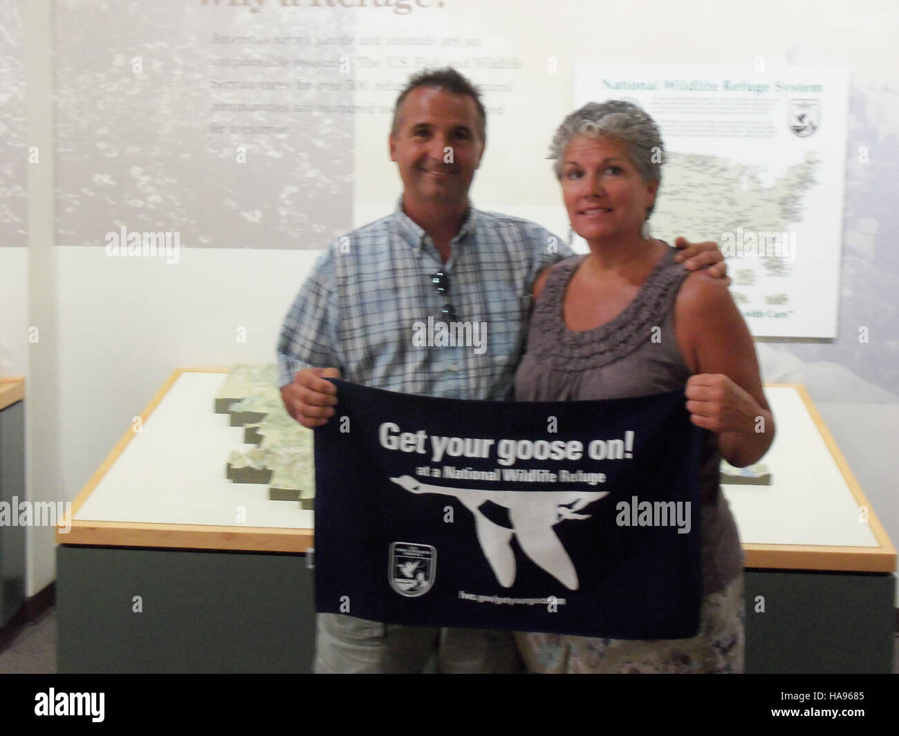 A depiction of a goose in its natural habitat within a national park ...