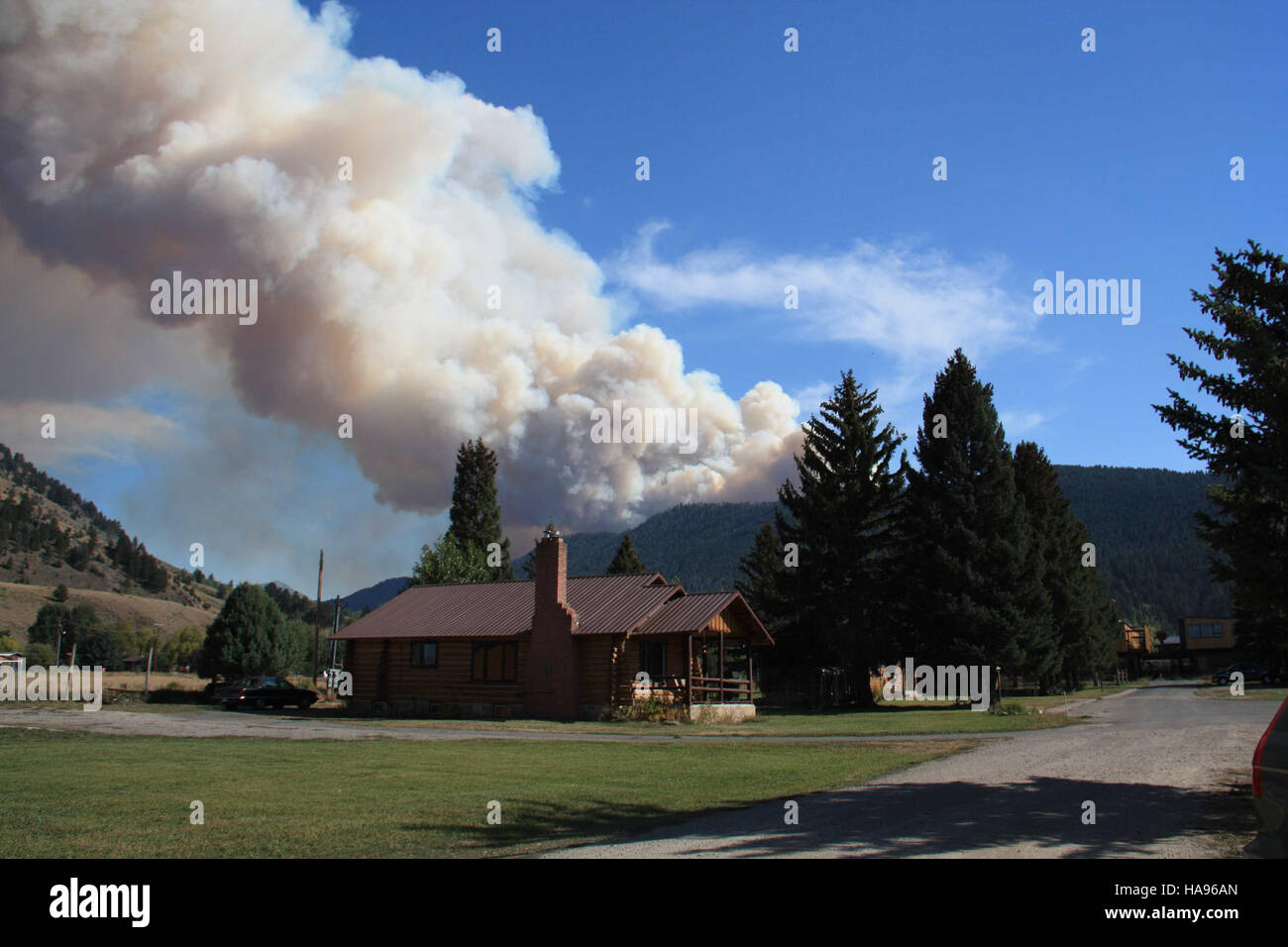 The image depicts a wildlife encounter in a national park, emphasizing ...
