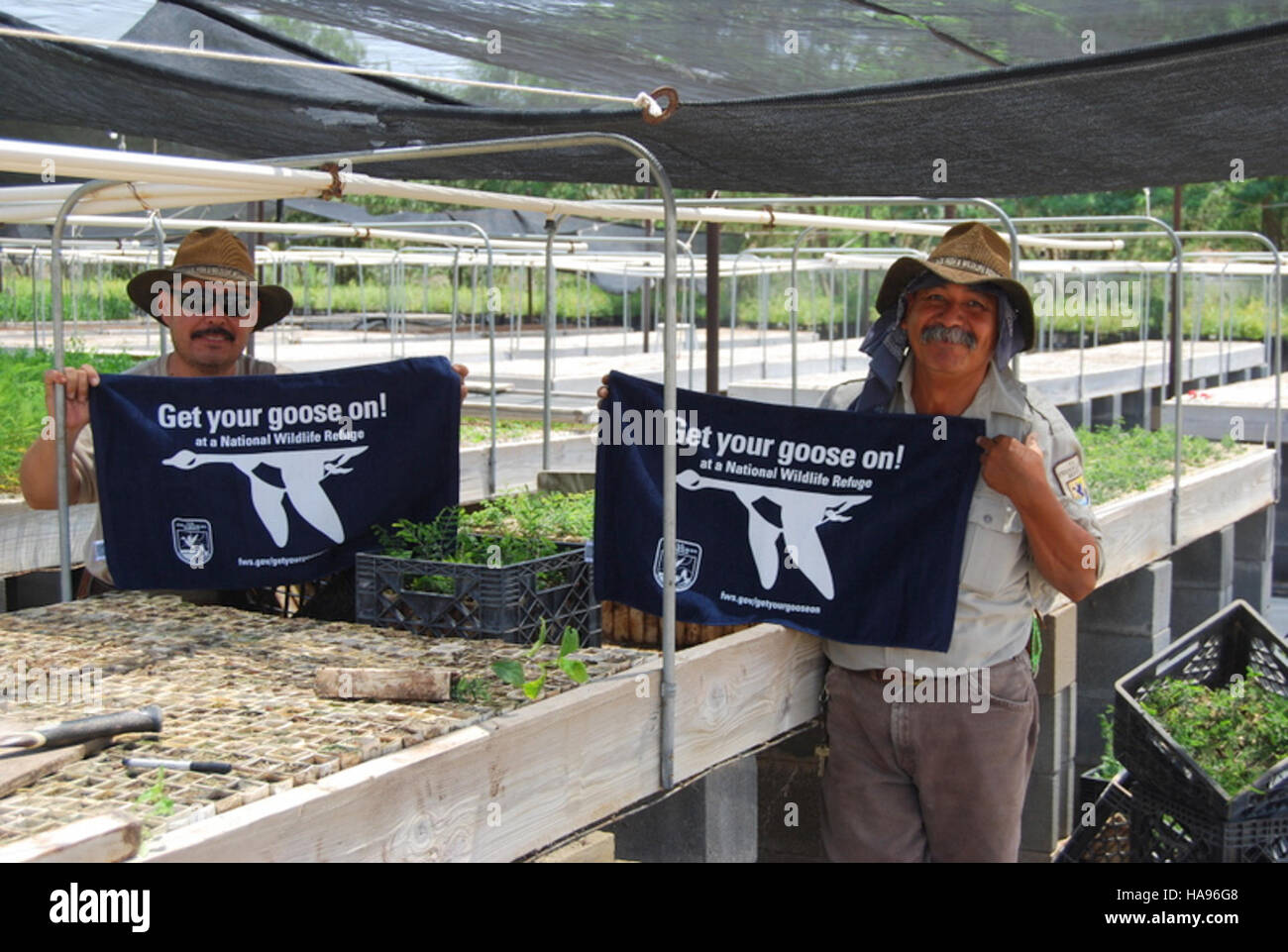 The campaign 'Get Your Goose On' promotes wildlife conservation efforts ...